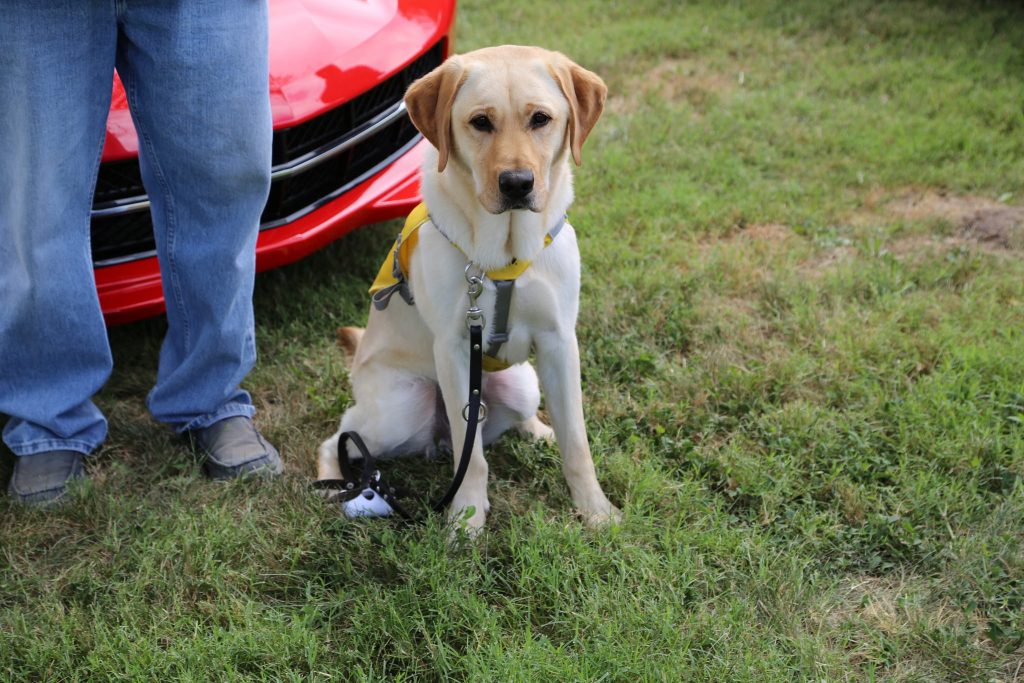 IAM Midwest Territory ‘Rides for Guides’ Car Show Raises Over $8.5k for ...