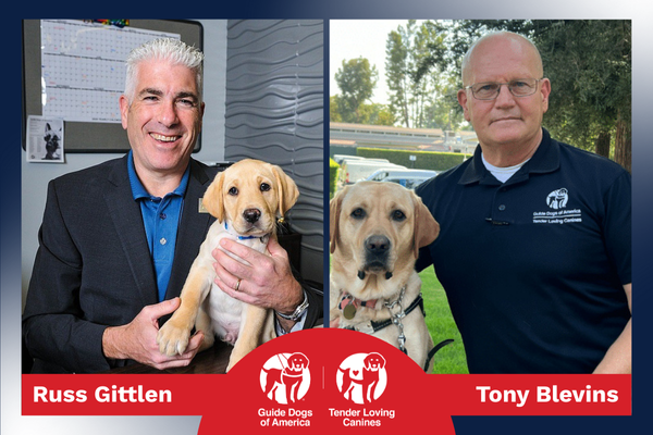 Tony Blevins Appointed Director of Guide Dogs of America | Tender ...