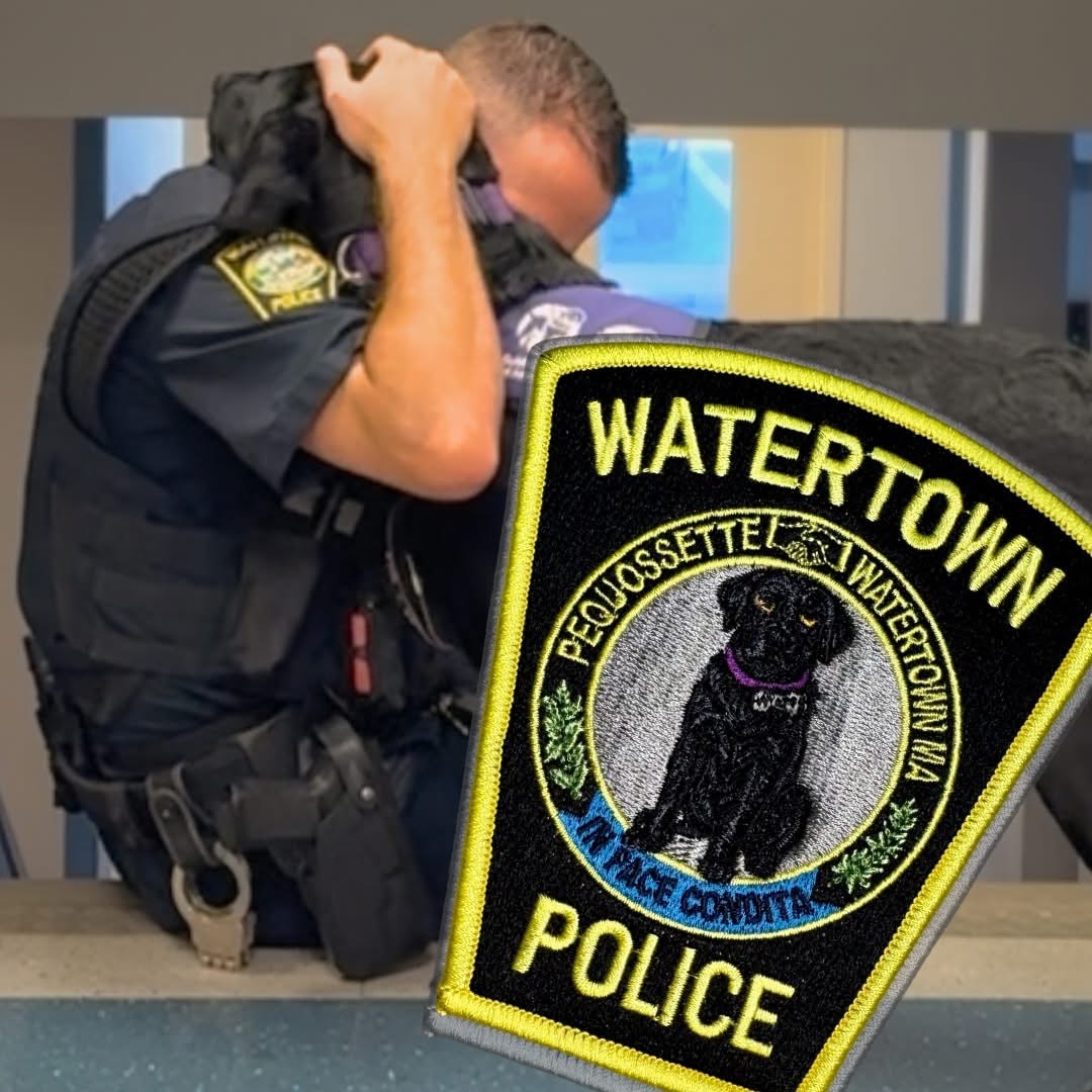 IAM Union Rep, GDA | TLC Team Up to Provide Service Dog to Local Police ...